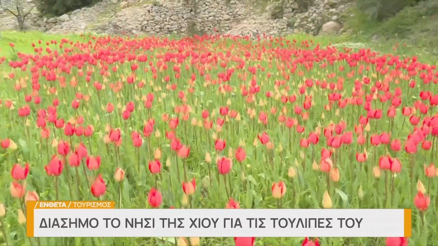 Τουρισμός