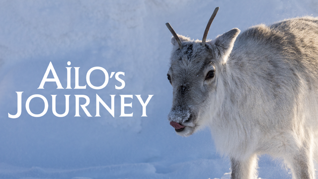 Ailo’s Journey