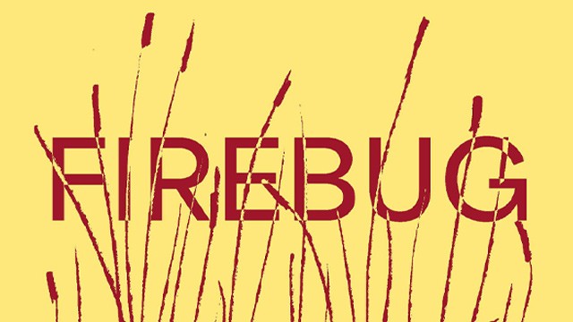 Firebug